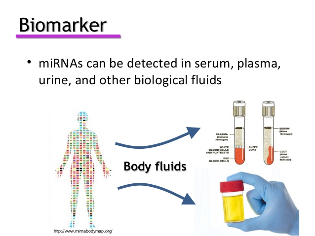 Biomarkers in Alzheimers | Global Events | USA | Europe | Middle East ...